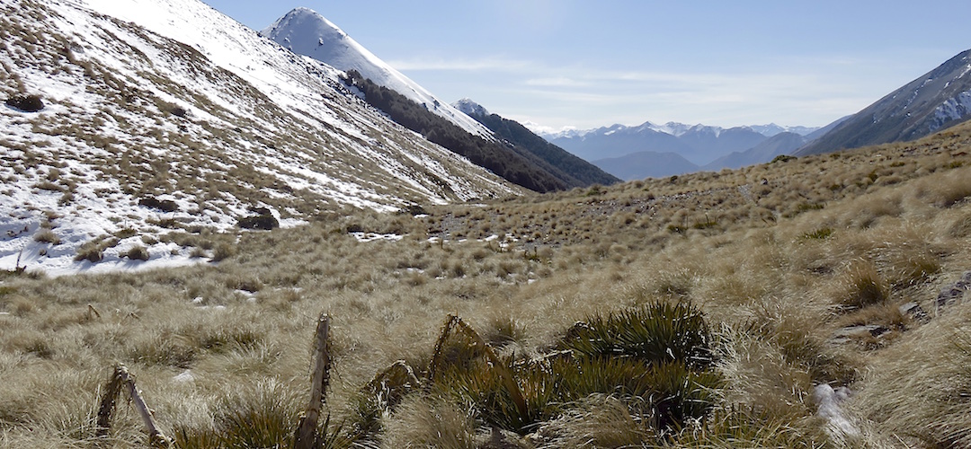 Day 2 | Hamilton Hut | tramping new zealand