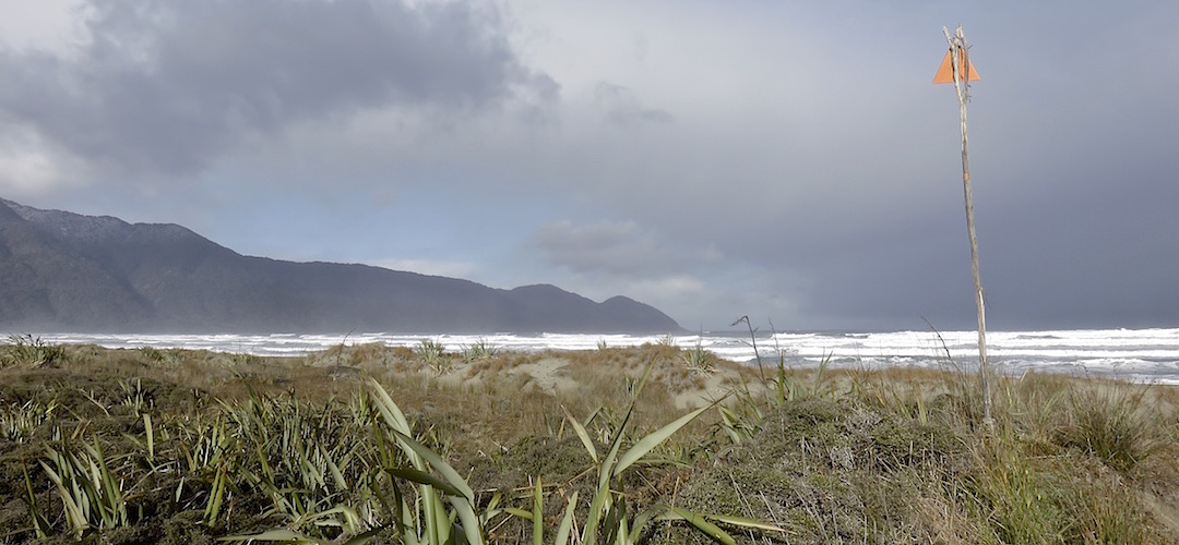 Day 8 | Big Bay Hut, Pyke Big Bay Route, Pyke Forest Conservation ...