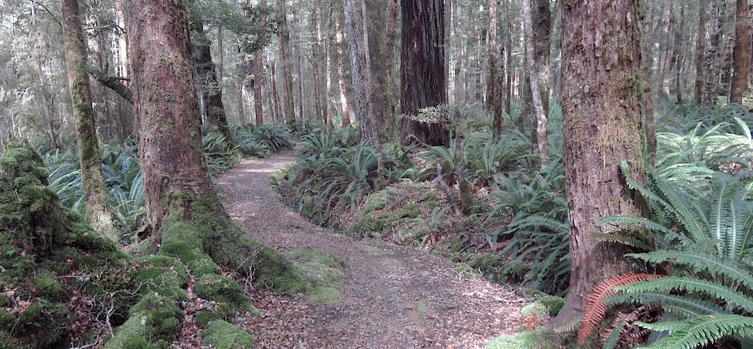Day 1 | Shallow Bay Hut, Kepler Track, Fiordland National Park ...