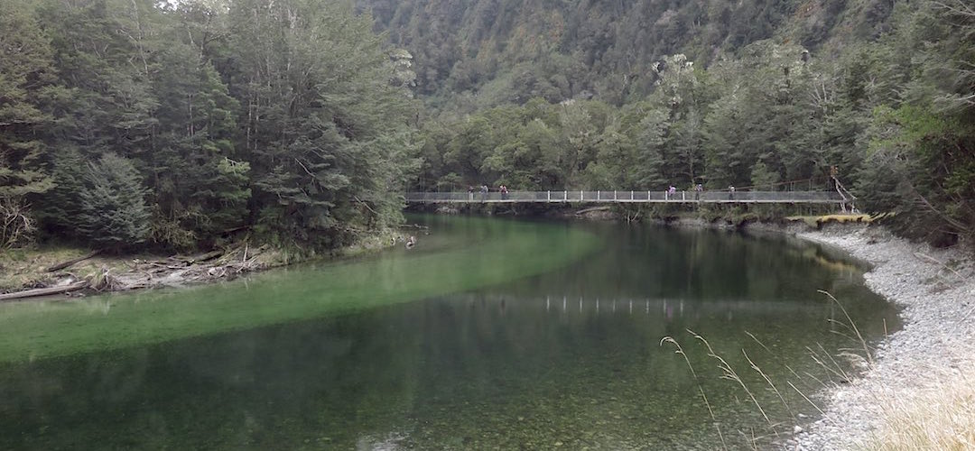 Day 5 | Clinton Hut, Milford Track, Fiordland National Park | tramping ...