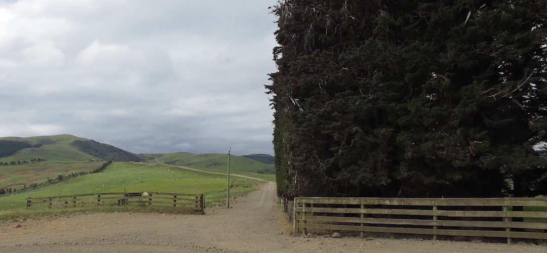 TA Day 9 | Mt Linton Station | tramping new zealand