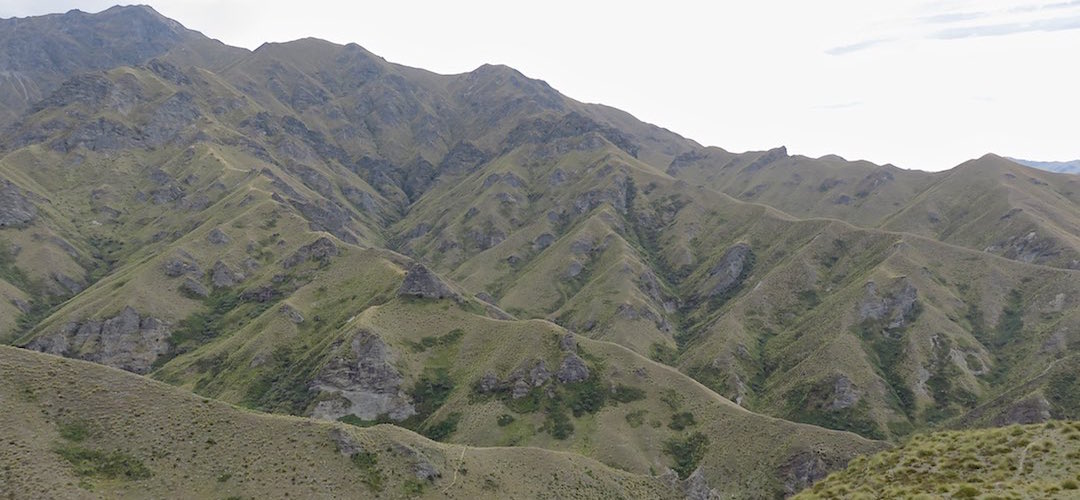 TA Day 21 | Fern Burn Hut, Motutapu Track | tramping new zealand
