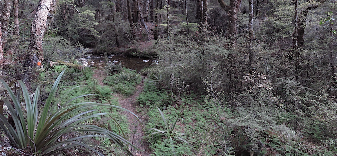 Day 3 | Wainui Hut, Abel Tasman National Park | tramping new zealand