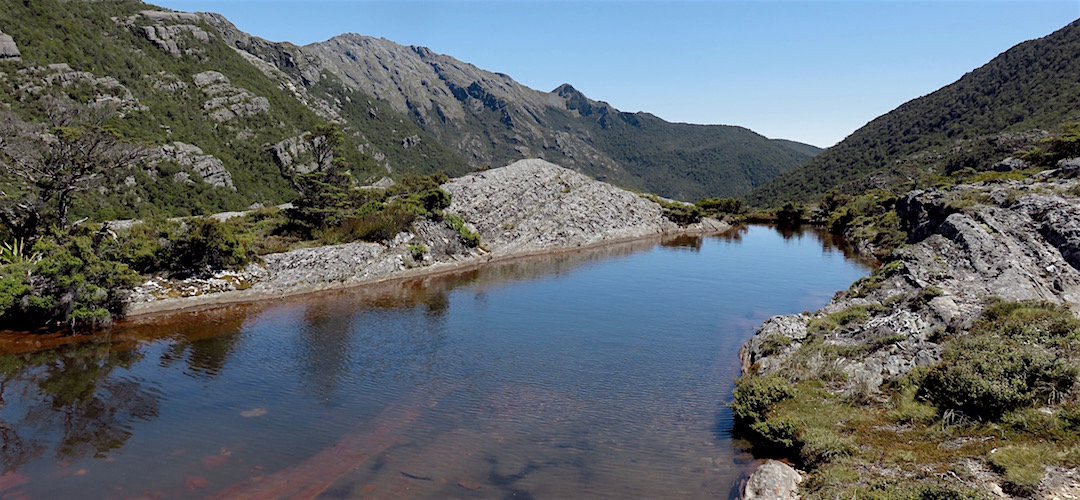 Day 15 | Chaffey Hut, Kahurangi National Park | tramping new zealand