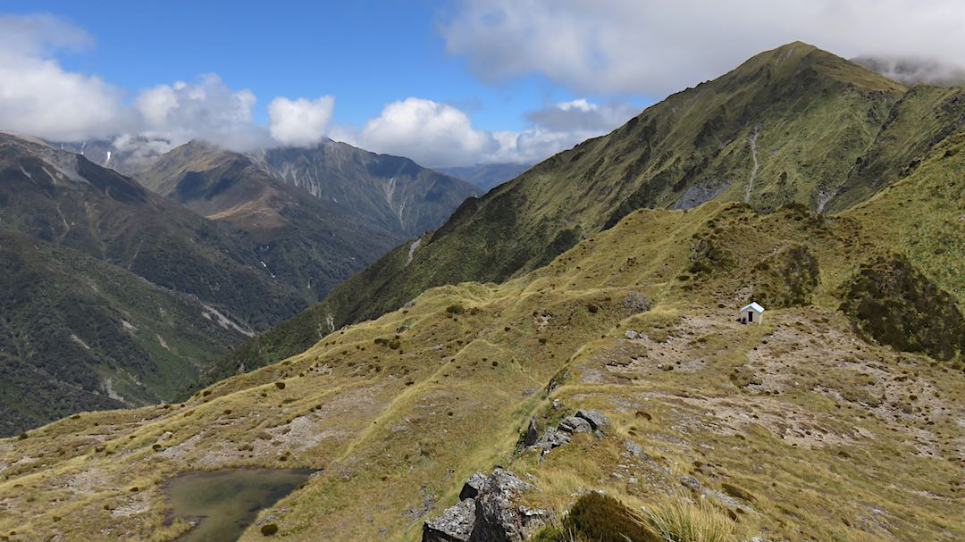 Day 8 | Top Toaroha Hut, Toaroha River | tramping new zealand