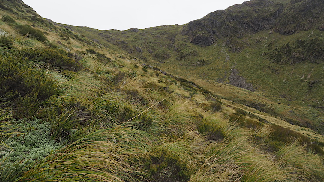 Day 4 | Lake Christabel Hut | tramping new zealand