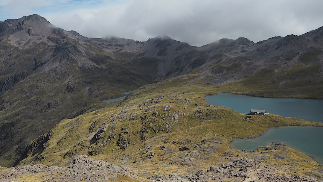 Day 14 | Bushline Hut, Nelson Lakes National Park | tramping new zealand
