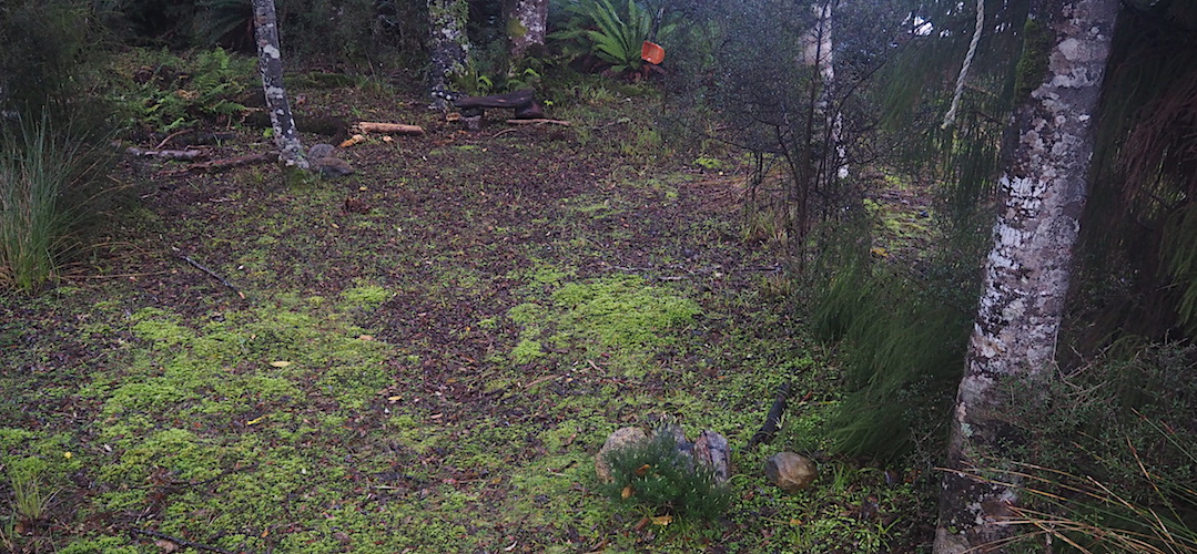 Big River campsite | Fiordland National Park | tramping new zealand