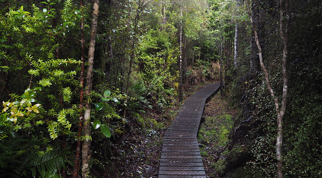 Day 1 | Port Craig Schoolhouse Hut | tramping new zealand