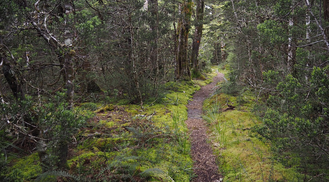 Day 13 | Christopher Hut, Christmas Day | tramping new zealand
