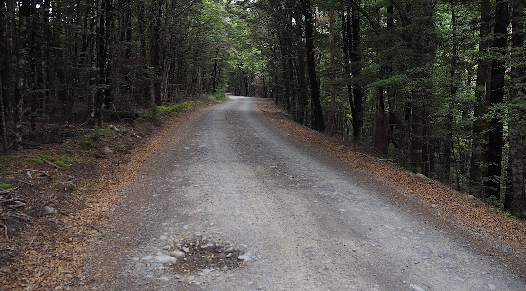 Day 19 | Finally back home in Nelson | tramping new zealand