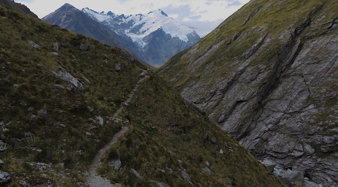 Day 26 | Dart Hut campsite, Night 1, among the trees | tramping new zealand