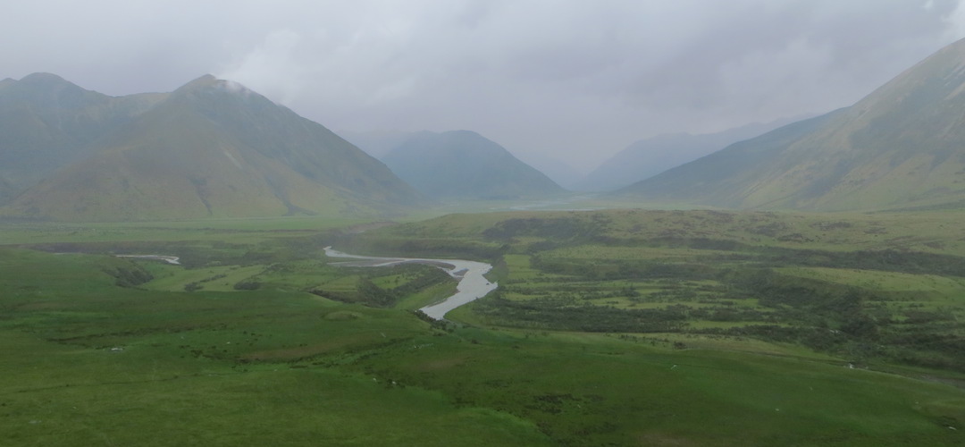 Day 7 | Anne Hut: finally back on track | tramping new zealand