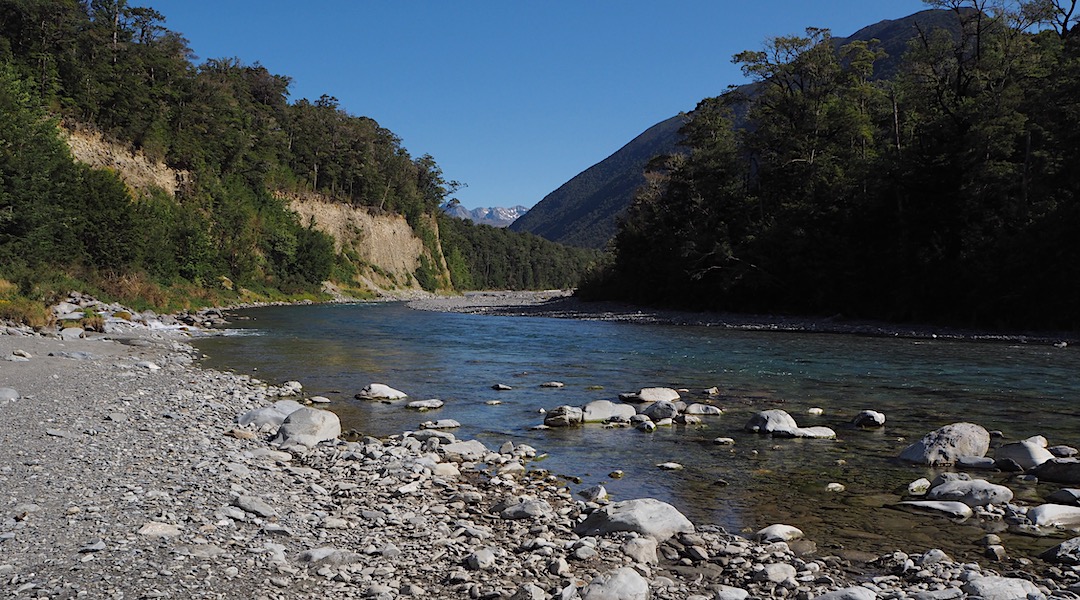 Matakitaki Day 1 | Downie Hut | tramping new zealand