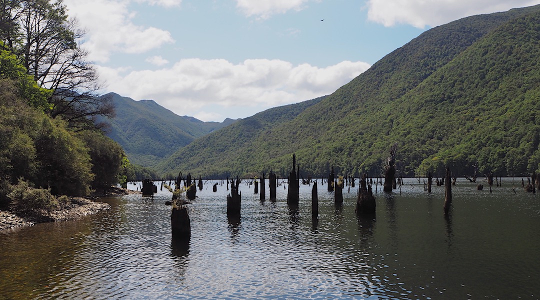 Waingaro/Anatoki Day 3 | Soper Shelter | tramping new zealand