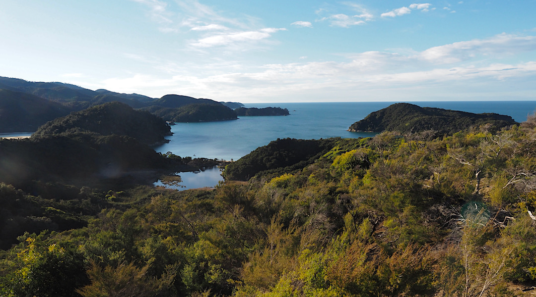Day 2 | Te Pukatea Bay | tramping new zealand