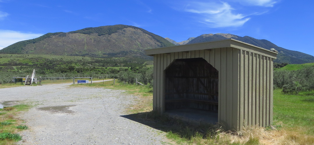 Windy Point Shelter | Lake Sumner Forest Park | tramping new zealand