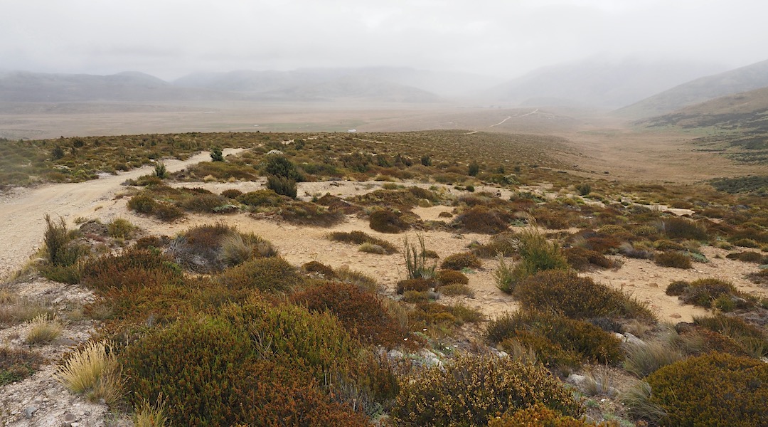 Day 2 | Scotties Hut | tramping new zealand