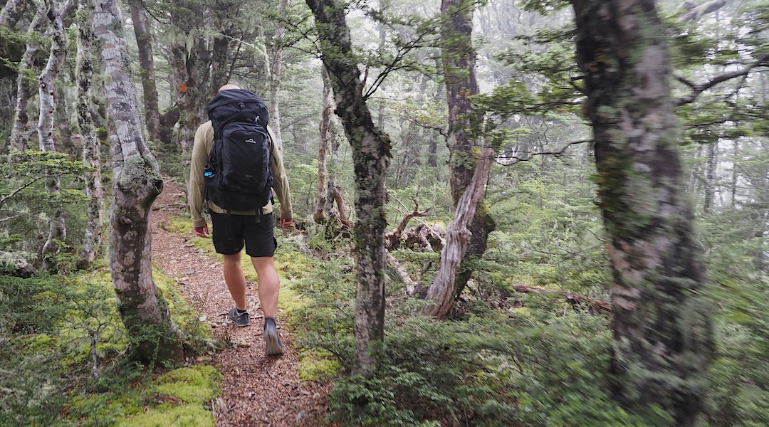 Day 19 | Home, once again | tramping new zealand