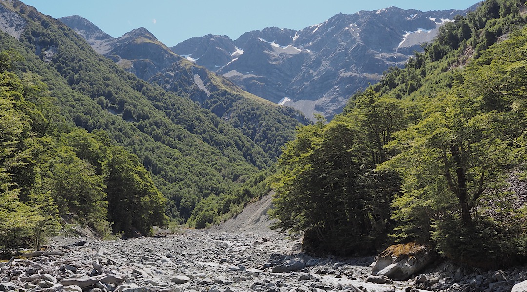Day 8 | Basins Hut, third time | tramping new zealand
