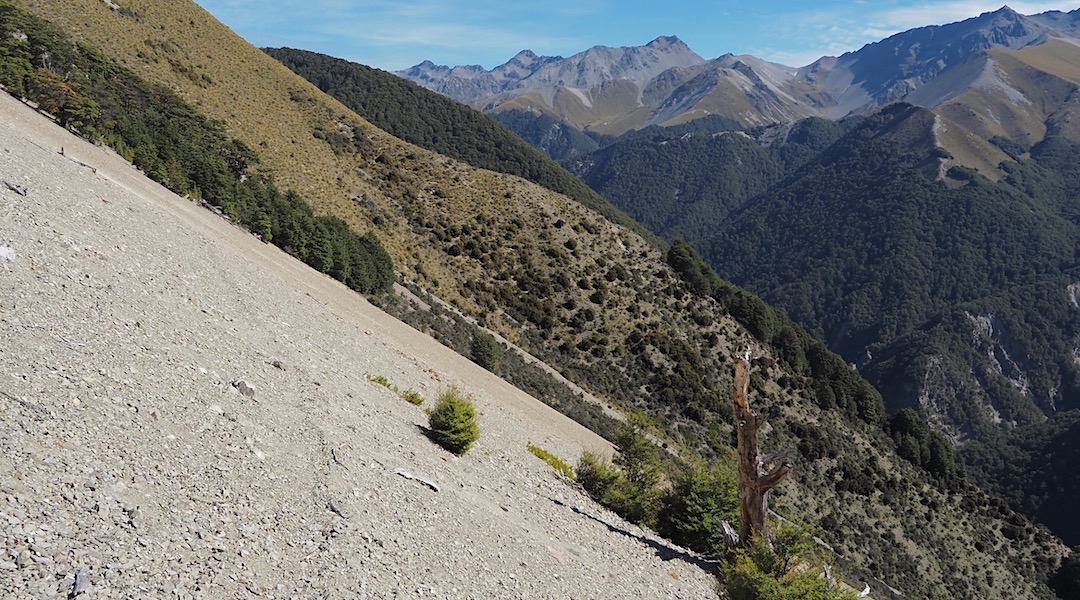 Day 1 | Maitland Hut | tramping new zealand
