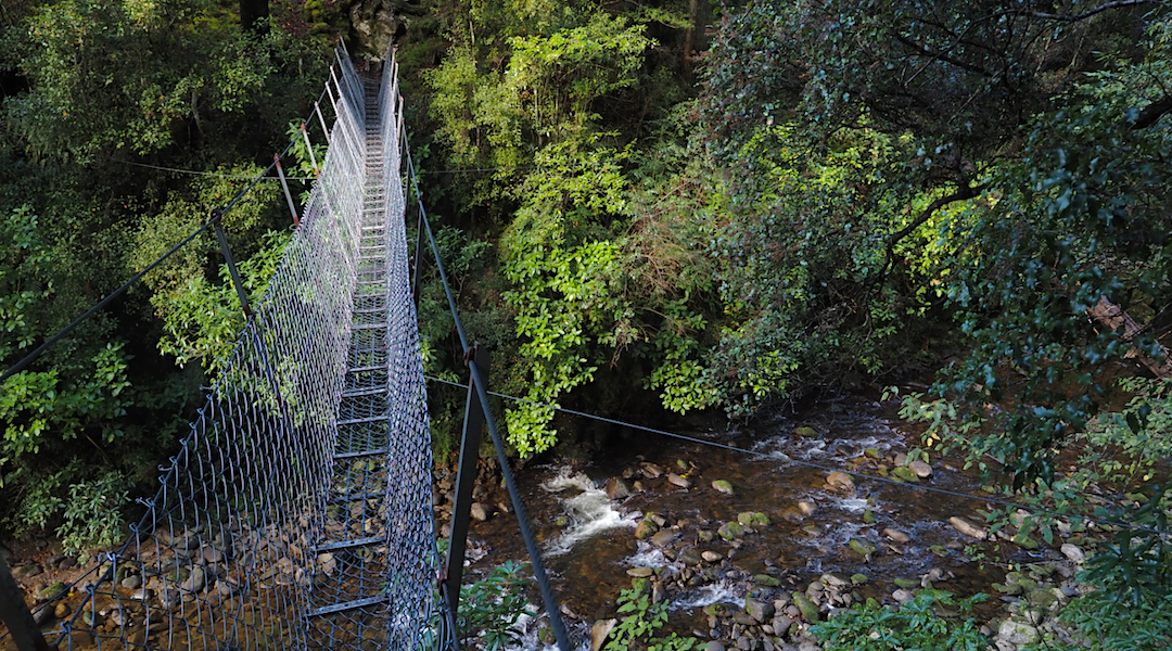 Day 7 | Karamea Bend Hut | tramping new zealand