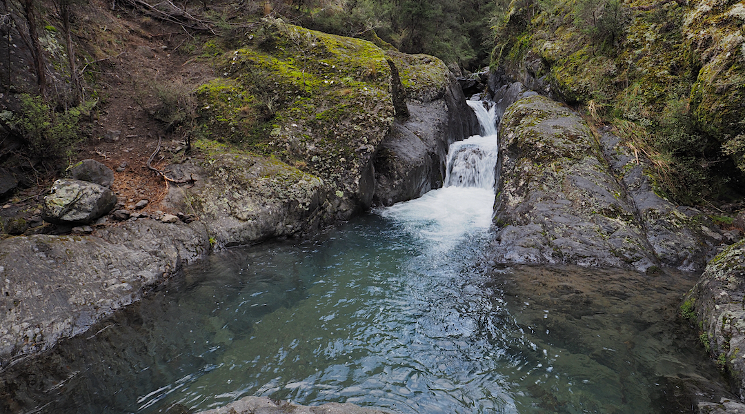 Day 1 | Black Birch Bivvy | tramping new zealand