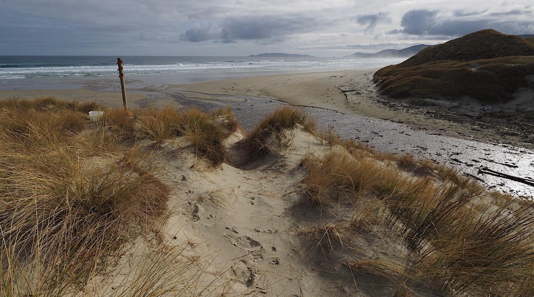 Day 11 | Mason Bay Hut | tramping new zealand