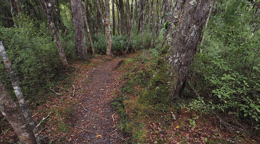 Day 1 | to North Arm Hut | tramping new zealand