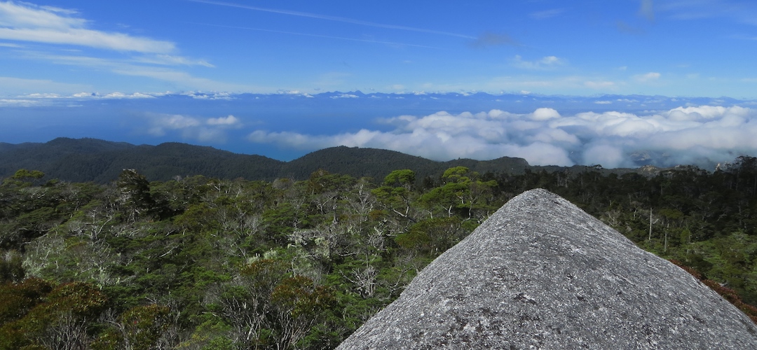 Day 2 | Awapoto Hut, on my lonesome again | tramping new zealand