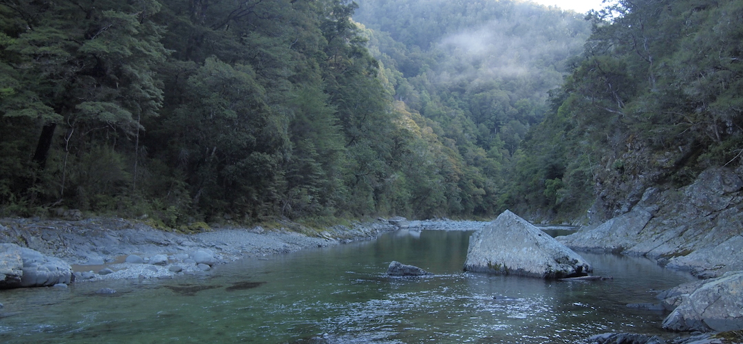 Day 3 | Roebuck hut, and plenty of company | tramping new zealand