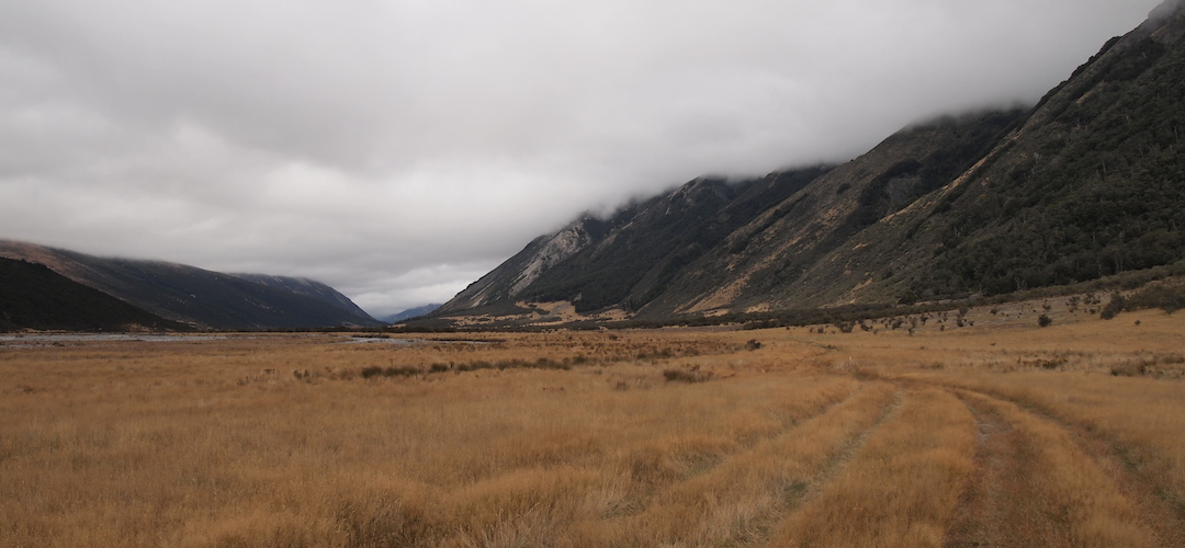 Day 20 | Christopher Hut, more gloom | tramping new zealand