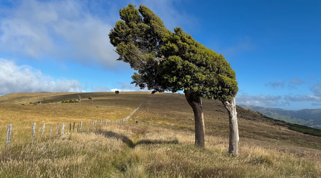 Day 57 | Christchurch | tramping new zealand