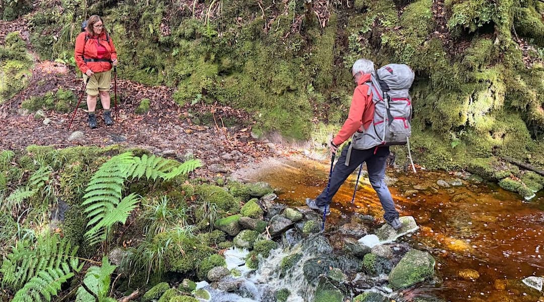 Day 4 | Heaphy Hut campsite | tramping new zealand
