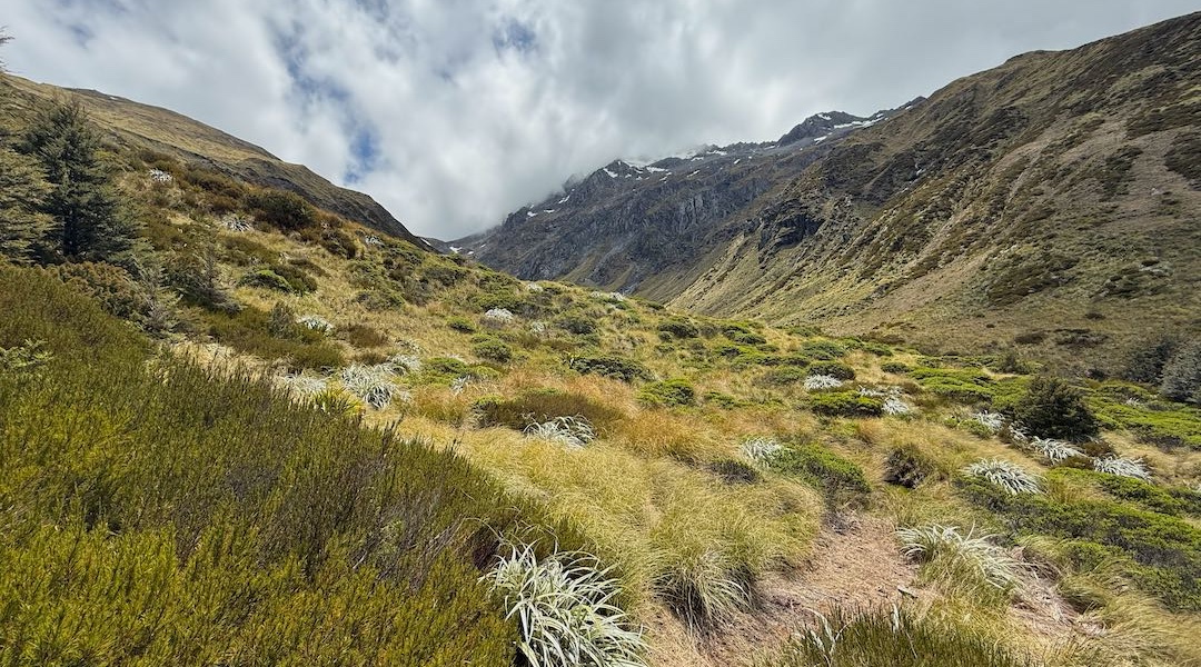 Day 8 | Burn Creek Hut, night 3 | tramping new zealand