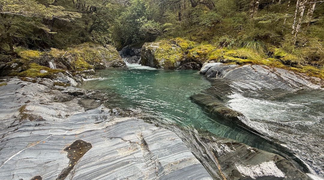 Day 11 | Downie Hut, back again | tramping new zealand
