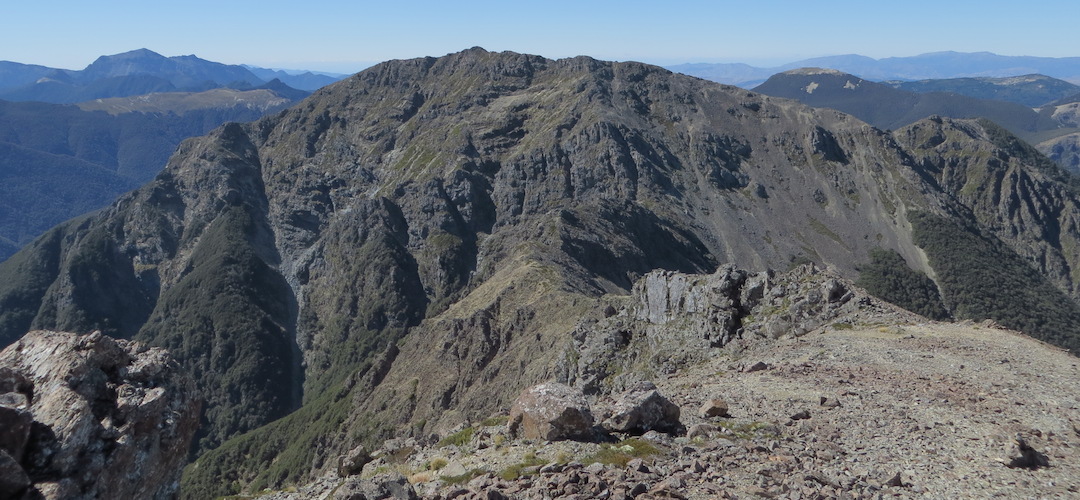 Alpine Route | Mt Richmond Forest Park, Nelson/Marlborough | tramping ...